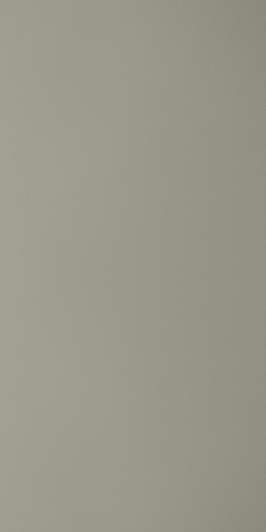 Ash Grey Laminates - Greenlam