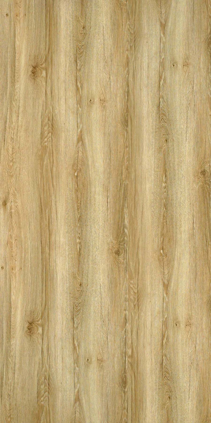 Rift Oak Laminates in EGYPT - Greenlam
