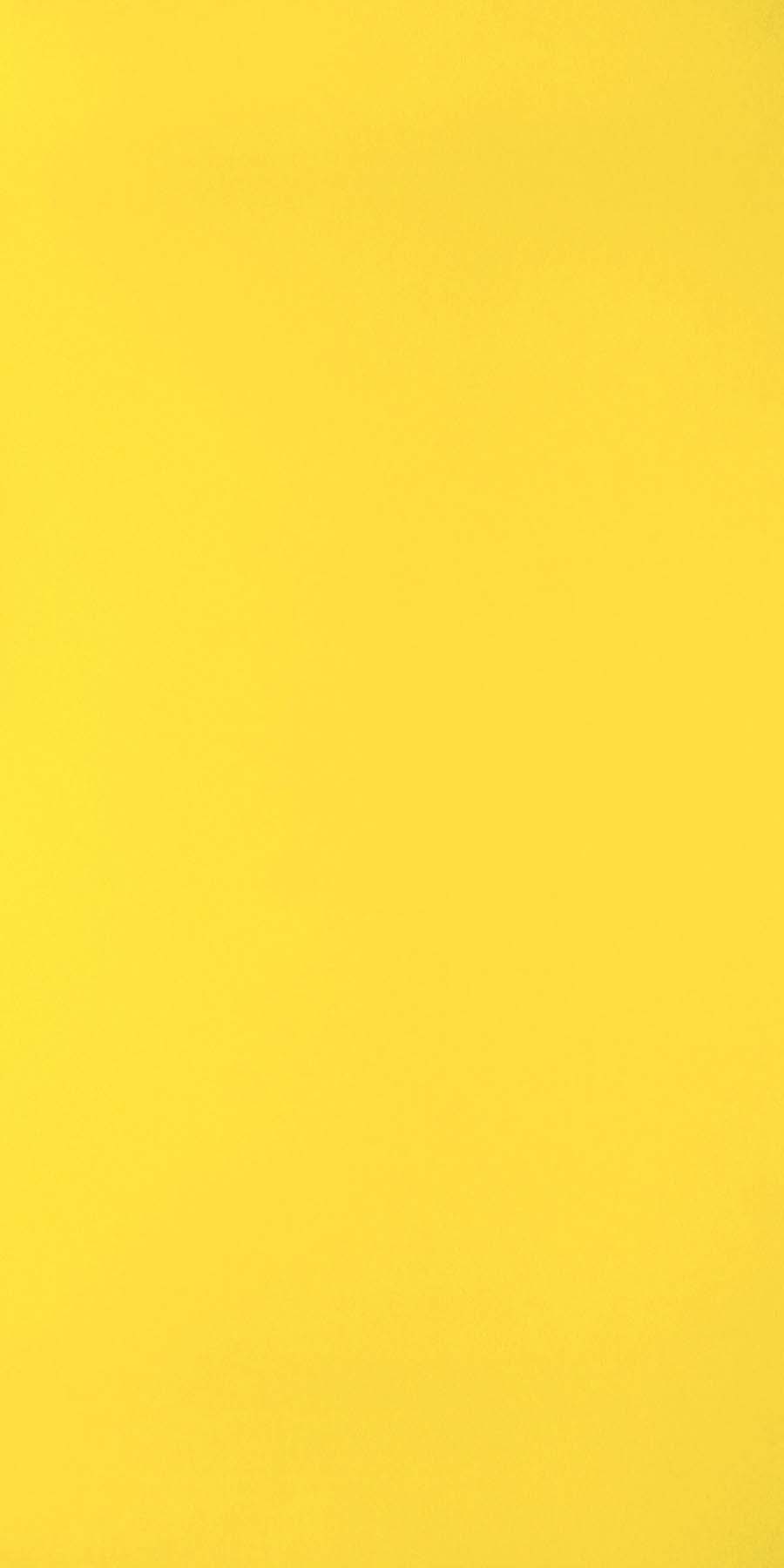 Divine Yellow Laminates - Greenlam