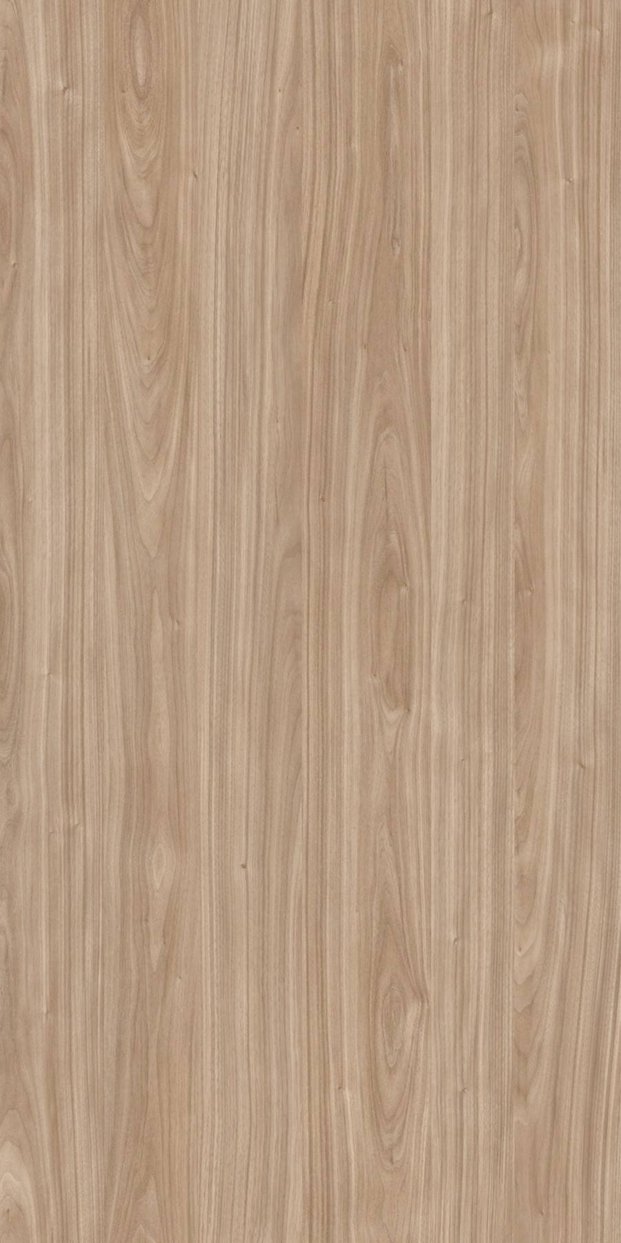 5333 Nordic Walnut MFC Laminate with Matt Finish in India - Greenlam ...